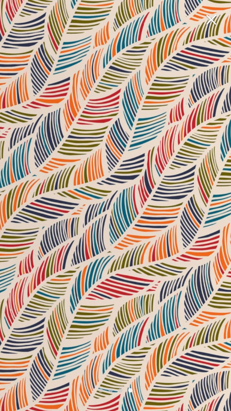 Motif Pattern – chaardeewari